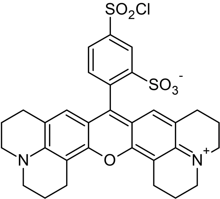 Sulforhodamine 101 acid chloride, amine-reactive rhodamine dye (CAS ...