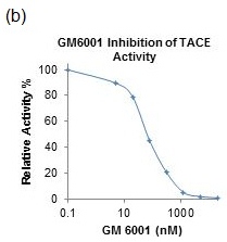 TACE Inhibitor Assay Kit (ab155889) | Abcam