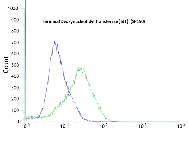 Anti-TdT antibody [SP150] (ab183341) | Abcam