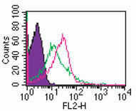 Anti-TIL/TLR1 antibody (ab189337) | Abcam