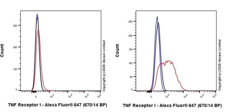 Anti-TNF Receptor I antibody [EPR29704-145] (ab326935) | Abcam