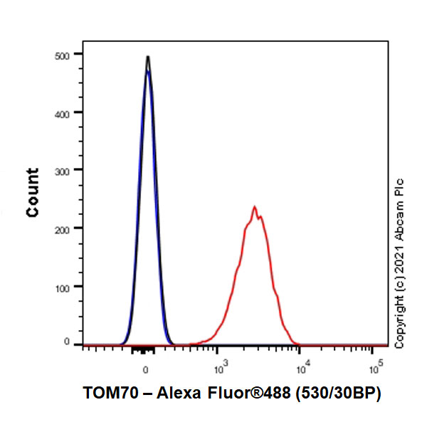 Anti-TOM70 antibody [EPR26576-162] (ab289977) | Abcam