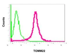 Anti-TOMM22/TOM22 antibody [EPR13505] - BSA and Azide free (ab250125 ...