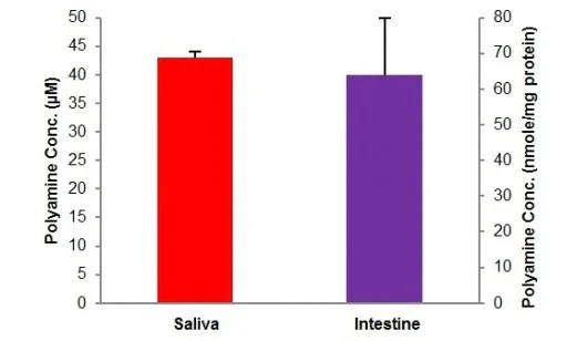 Total Polyamine Assay Kit (ab239728) | Abcam