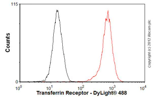 Anti-Transferrin Receptor antibody [EPR4012] - Low endotoxin, Azide ...