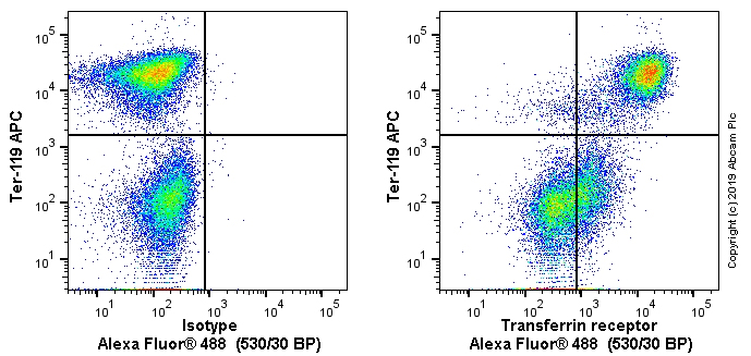 Anti-Transferrin Receptor antibody [OX26] (ab6331) | Abcam
