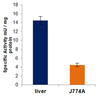 Transketolase Activity Assay Kit (Fluorometric) (ab273310) | Abcam