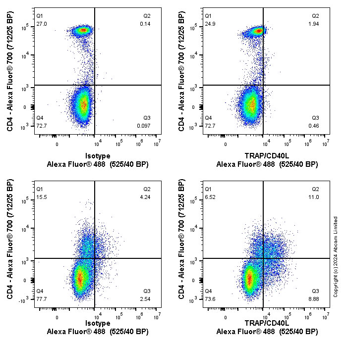Anti-TRAP/CD40L antibody [EPR20727-307] (ab273499) | Abcam