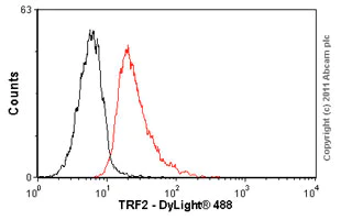 Anti-TRF2 antibody [4A794] (ab13579) | Abcam