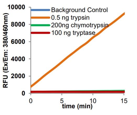 Trypsin Activity Assay Kit (Fluorometric) (ab282916) | Abcam