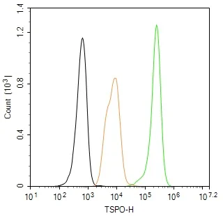 Anti-TSPO antibody [12B8] (ab326712) | Abcam中文官网
