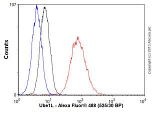Anti-Ube1L + E1 Ubiquitin Activating Enzyme 1/UBA1 antibody [EPR4269(2 ...
