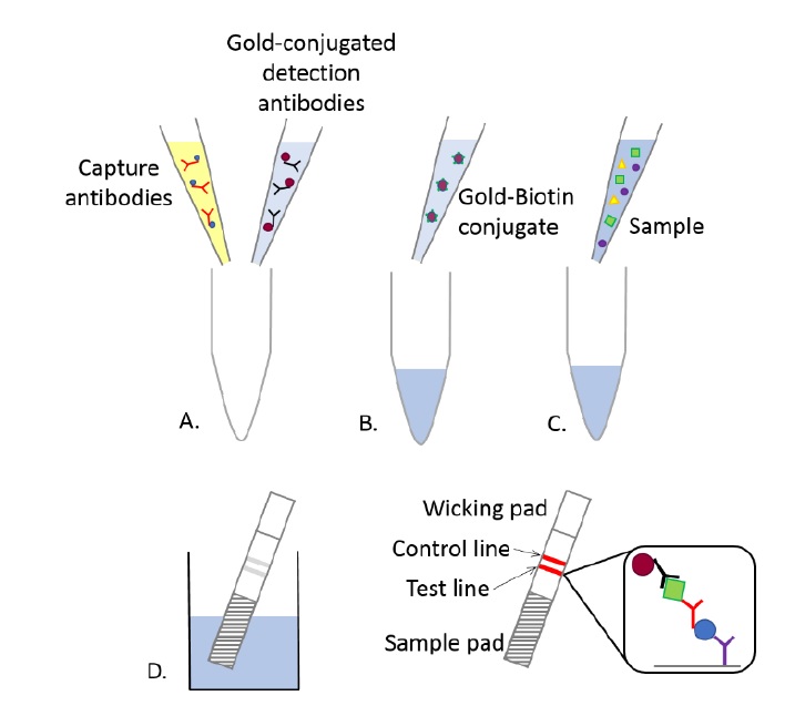 Universal Lateral Flow Assay Kit (ab270537) | Abcam