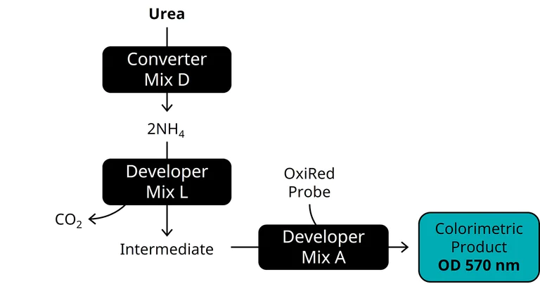 Urea Assay Kit / Blood Urea Nitrogen (BUN) Assay (ab83362/K375) | Abcam