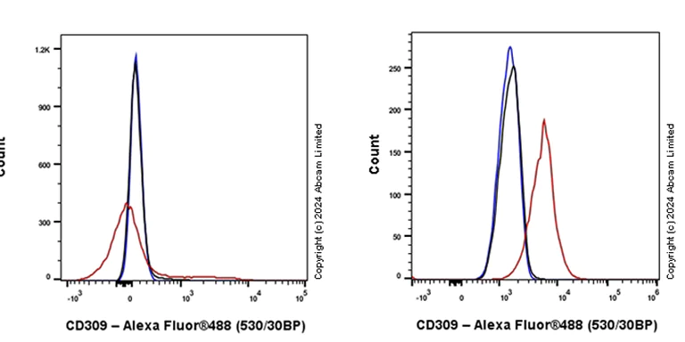 Anti-VEGF Receptor 2 antibody [EPR21233] (ab237634) | Abcam