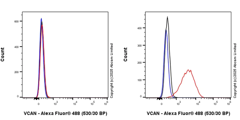 Anti-Versican antibody [RM1301] (ab324605) | Abcam