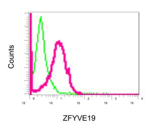 Anti-ZFYVE19 antibody [EPR9789] - BSA and Azide free (ab249180) | Abcam