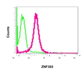 Anti-ZNF365 antibody [EPR10216] (ab157459) | Abcam